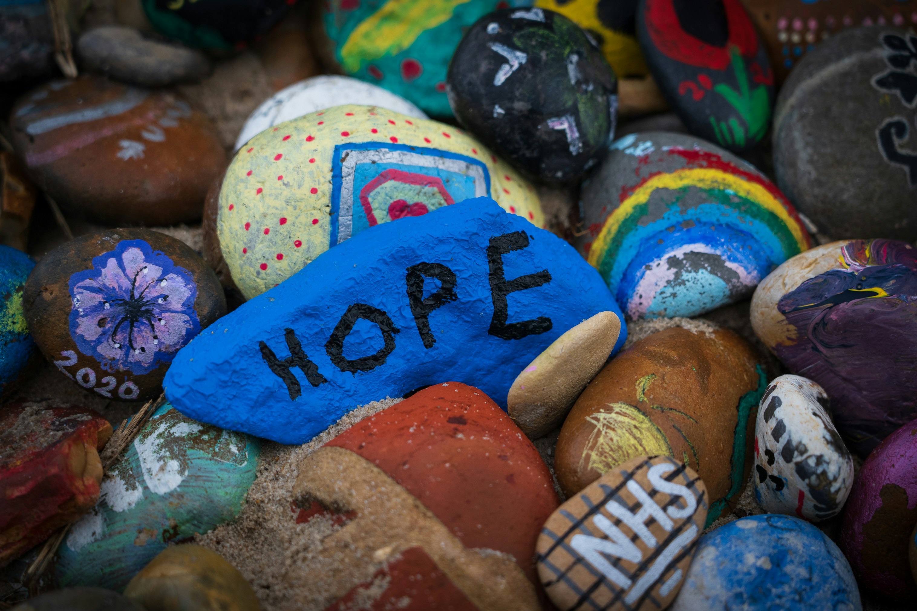 Homeless Shelters as Hubs of Hope: The Power of Community and Dignity