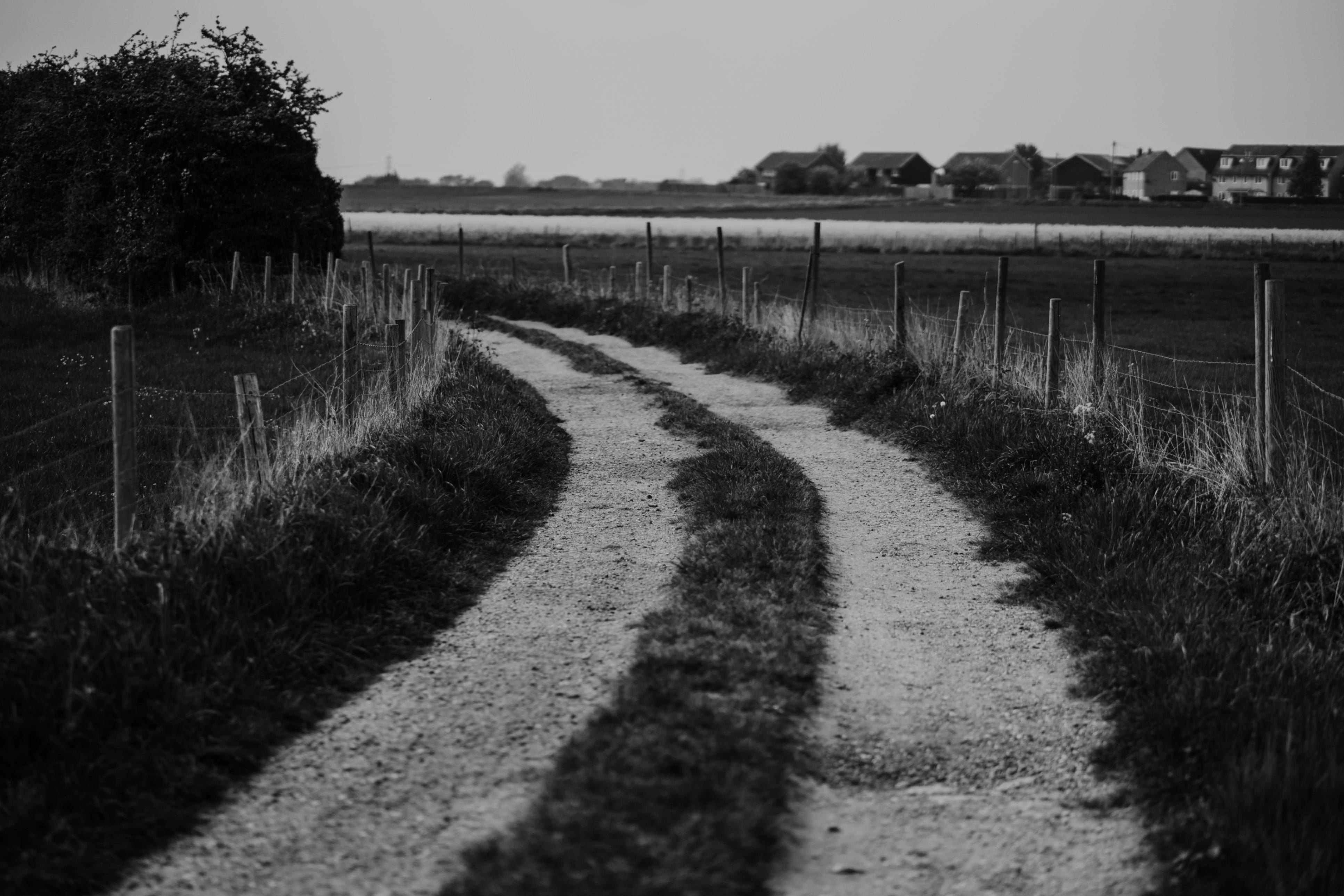 Faith and Grit: Finding Direction When the Path Seems Unclear